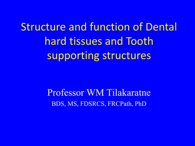 Dento enamel junction | DOC