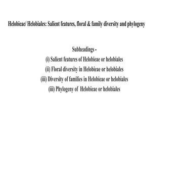Helobieae or helobiales : Salient features, floral & family diversity ...