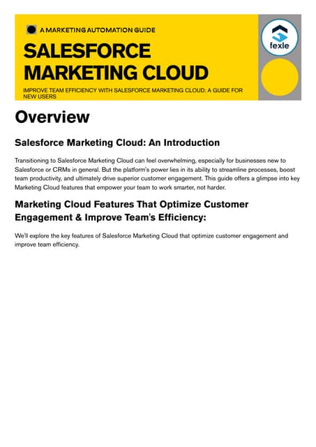 Deliver Consistent Omni Channel Brand Experience With Salesforce Marketing Cloud | PPT