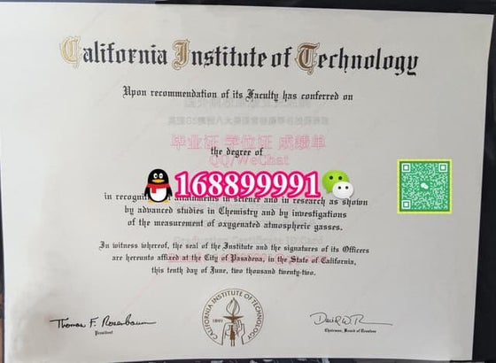 Northwestern University degree offer diploma Transcript | PPT