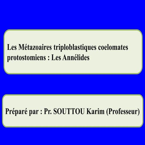 5.-chap-4-annelides-1.pdf niveau licence | PDF