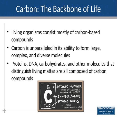 5. Carbon and the Molecular Diversity of Life.pptx
