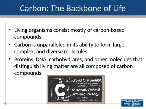 Carbons and Its Compound - PPT Class 10 | PPTX