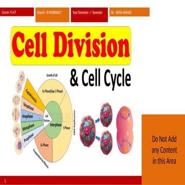Cell Division In Human Beings...ppt.pptx