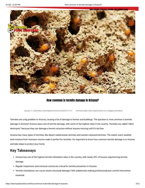 Understanding Termite Droppings: What is Termite Frass? | PDF