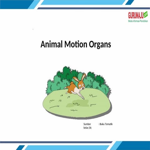 Animal Motion OrgansAnimal Motion Organs.ppt