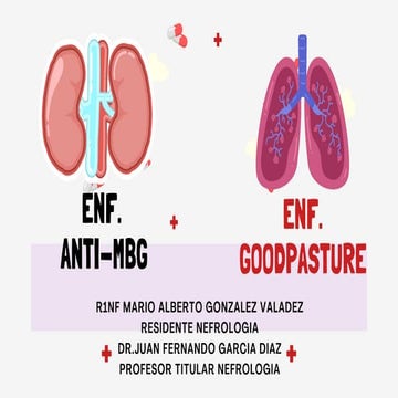 Síndrome de Goodpasture | PDF