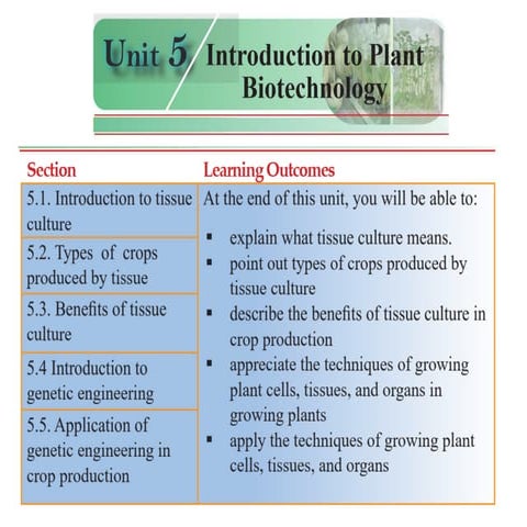 _5. Unit 5.pdf Agriculture presentation for EThiopia 12 | PDF