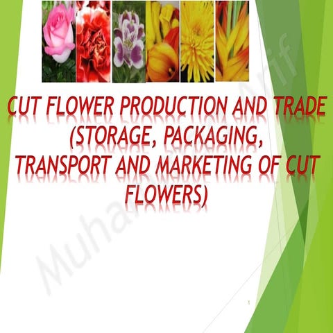 Post harvesting handling of flowers | PPTX