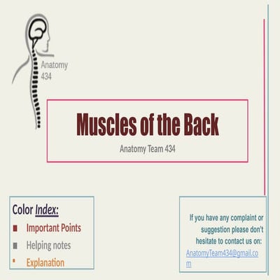 Back Muscles, superficial, intermediate, deep | PDF