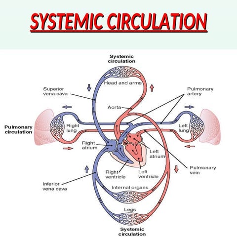 Linear Accelerator- Commercial Specification & Comparison | PPTX