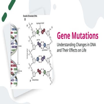 Gene mutations ppt | PPT