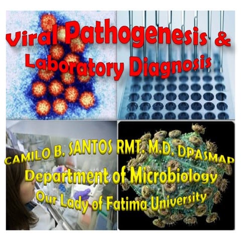 5-2 Viral Pathogenesis & Laboratory Diagnosis.ppt