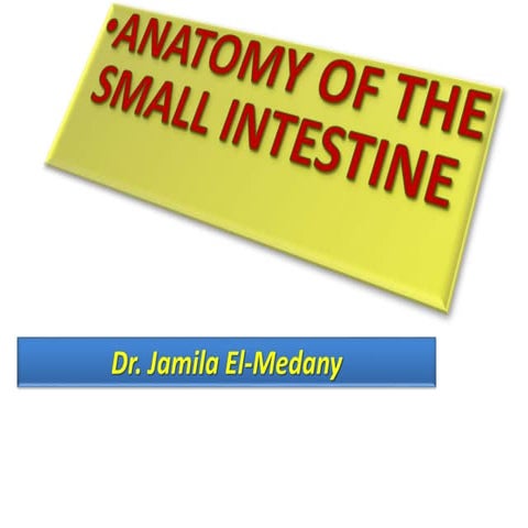 5-ANATOMY OF SMALL INTESTINE.ppt