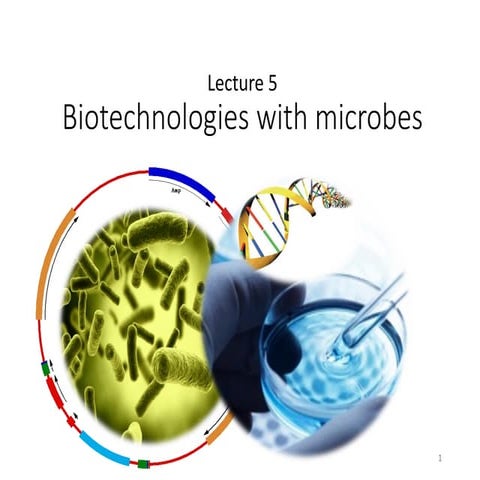 Applications of bacteria in biotechnology. | PPTX