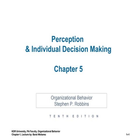 5 chapter-5 perception & individual decision making ob | PPT