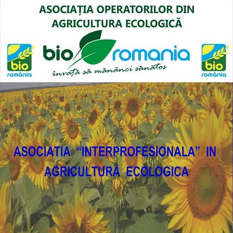 5. Damian D Prezentare Bio Rom Nia | PPT