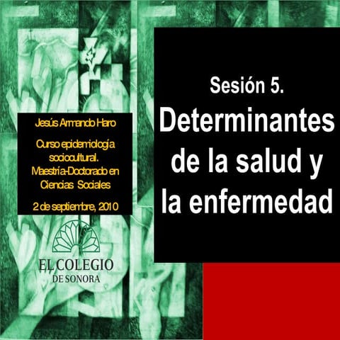 Determinantes de la Salud power point.pptx