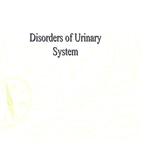 5-Disorders-of-Urinary-System.pptNephritis | PPT