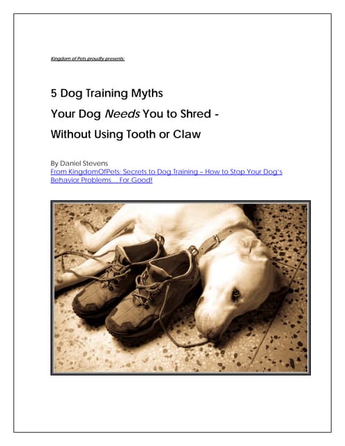 Puppy Training Secrets. | PDF