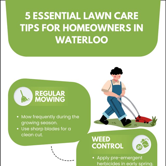 5 Essential Lawn Care Tips for Homeowners in Waterloo | PDF