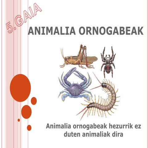 5.gaia animalia ornogabeak | PPTX