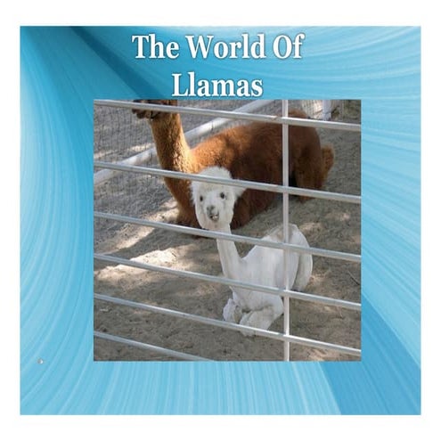The llama! | PPT