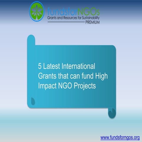 5 latest international grants that can fund high impact ngo projects | PPT