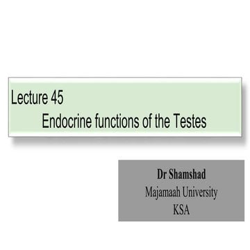 lecture 45 Endocrine functions of the testis 2021 | PPTX