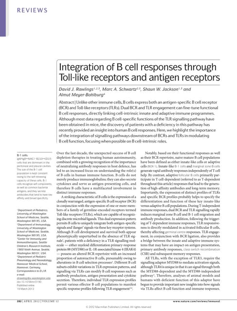 BCR | PPTX | Endocrine and Metabolic Diseases | Diseases and Conditions
