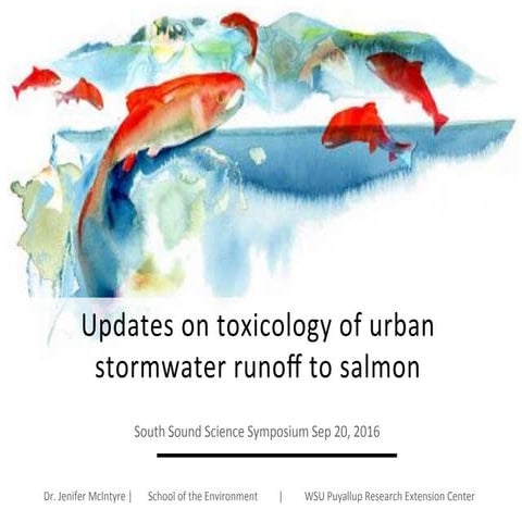 CV_Todd Lorenz | PDF