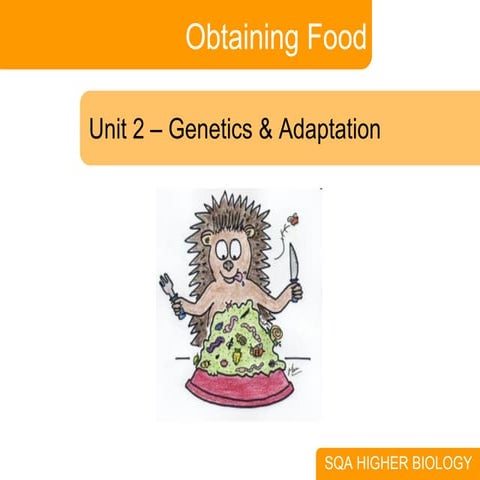 5. Obtaining Food | PPT