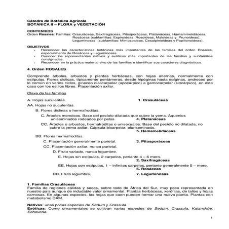5. Orden Rosales | PDF