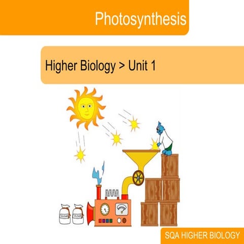 5. Photosynthesis | PPT