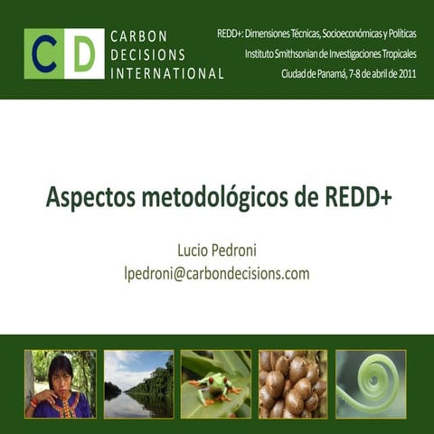 REDD Panama 2011 - Lucio Pedroni / Aspectos metodológicos REDD+ | PDF