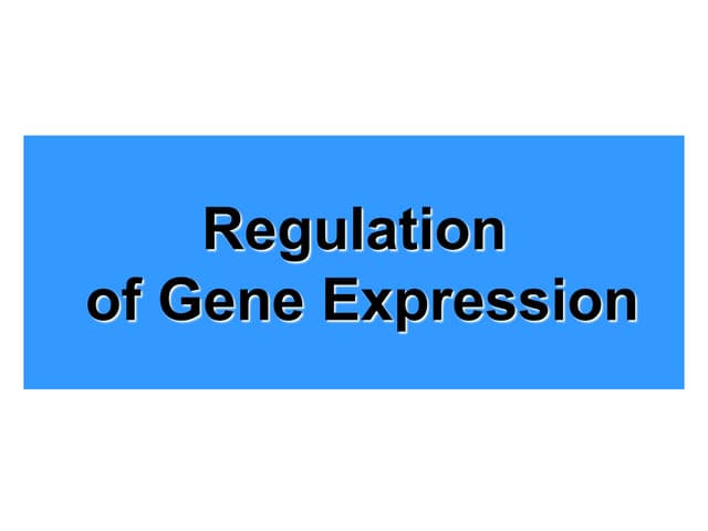Regulation of Gene Expression in Prokaryotes | PPTX