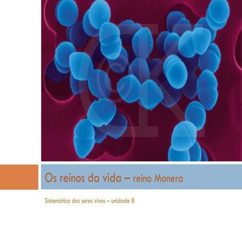 Reino Monera Realiza Un Organizador Grafico Sobre El Reino Monera Por