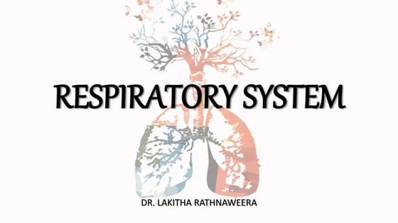 Examination of the respiratory system | PPT