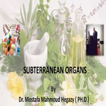 5 rhatany , ginseng, colchicum rauwolfia, iridis marshmallow , calumba ...