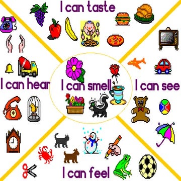 5-senses-and-body-parts-beginner level.pptx