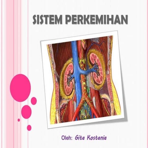 Sistem Urinaria (Sistem Perkemihan) | PPTX