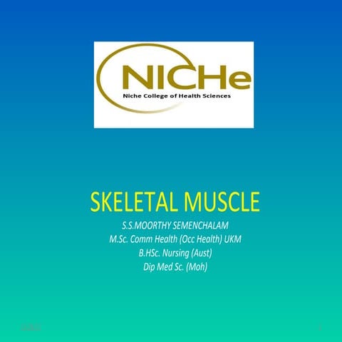 5. skeletal muscle system | PPT