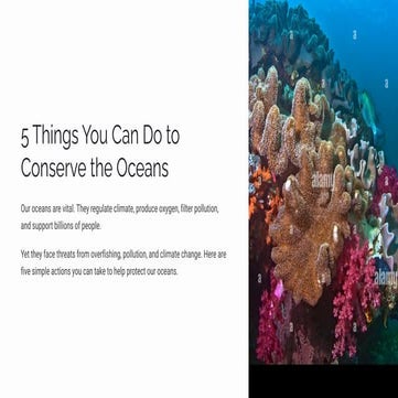 5 Things You Can Do to Conserve the Oceans | PPT