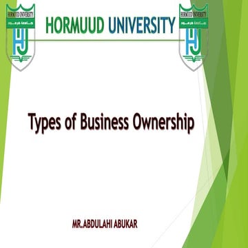 5 types of business ownership | PPTX