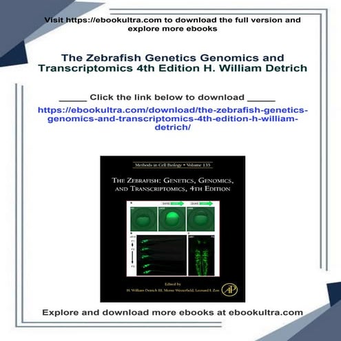 The Zebrafish Genetics Genomics and Transcriptomics 4th Edition H ...
