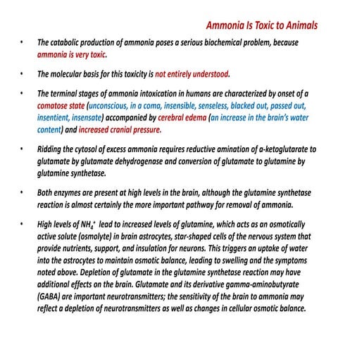 Urea cycle, Biochemistry, Human Excretory system | PPT