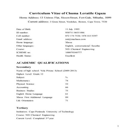 Professional Biosketch Examples For Everyone | PPTX