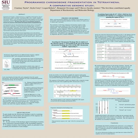 UROP Poster | PPTX