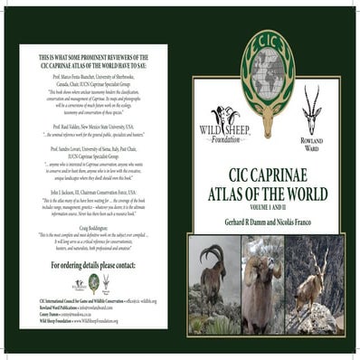 WSF CIC Flyer Final | PDF