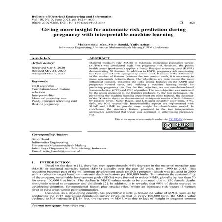 Giving more insight for automatic risk prediction during pregnancy with ...